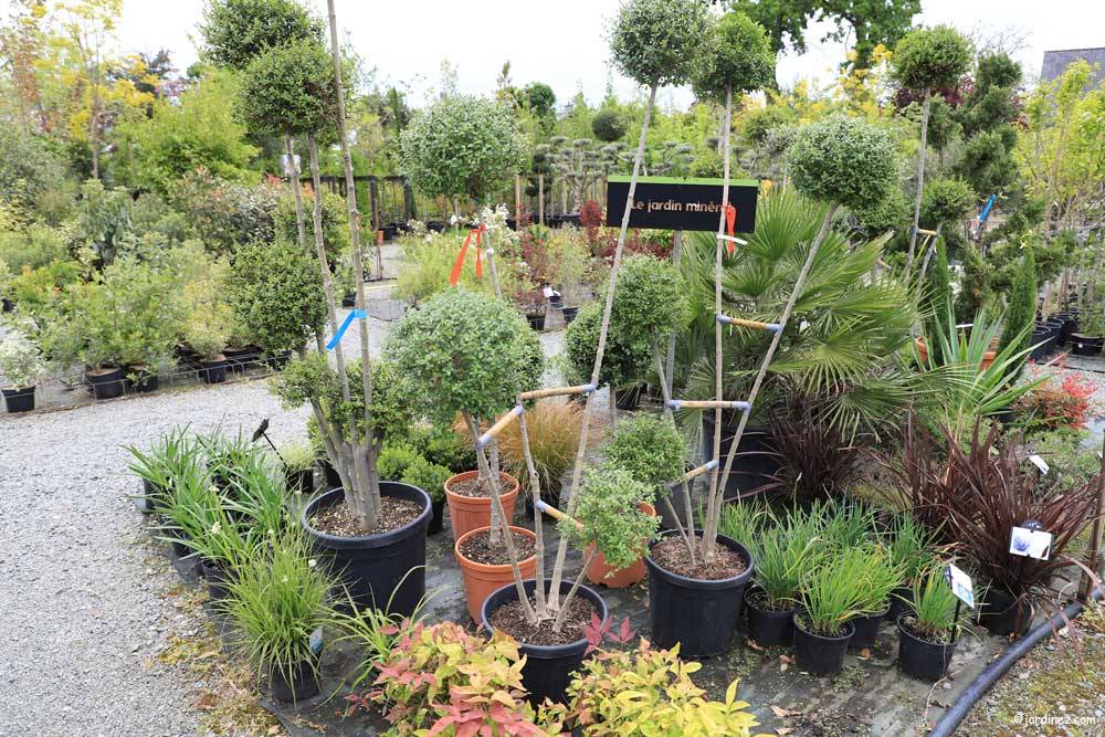 Les pépinières de la Rabine à Bruz, près de Rennes (35), ont un savoir ...