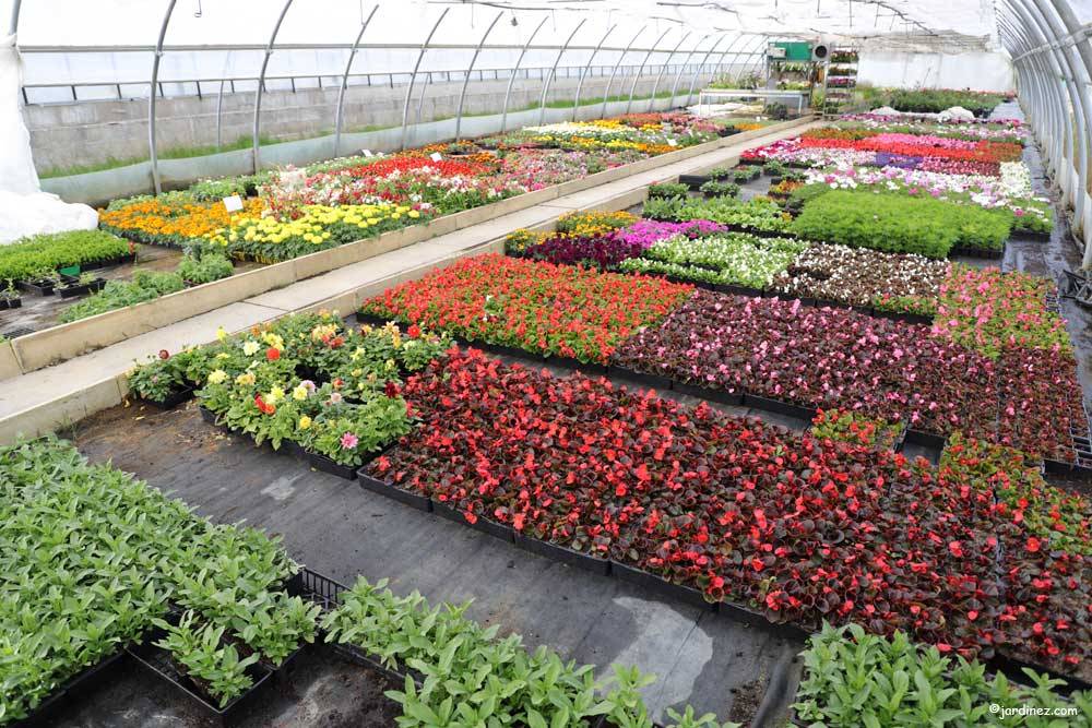 Pépiniériste Horticulteur Gasnier Beulé : Située dans le département de ...